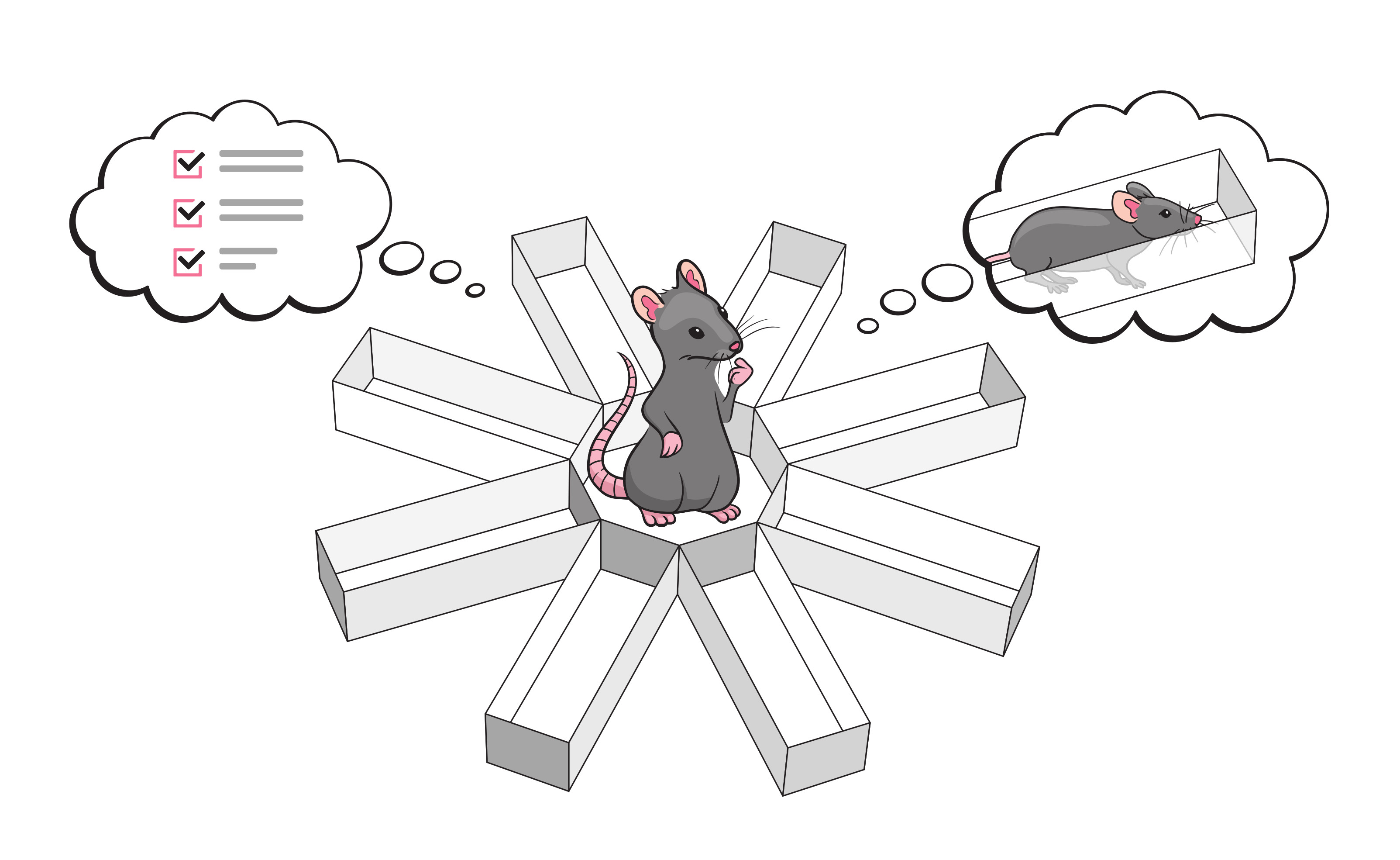 ISTA | Reading rats’ minds