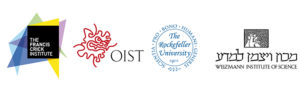 ISTA | IST-BRIDGE: International Postdoctoral Program